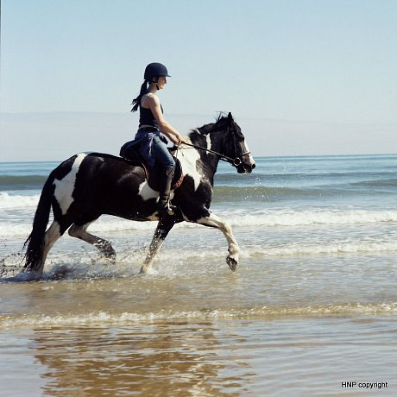 The Humber Nature Partnership